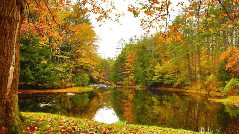 15 Southern Wisconsin Hikes on Beautiful Trails