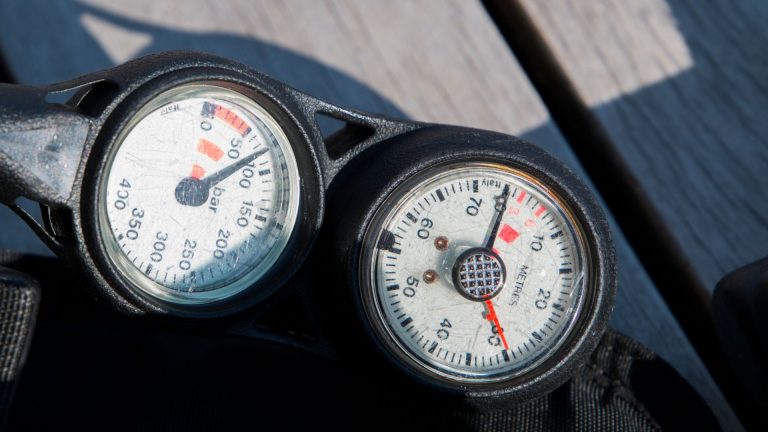 Ultimate Scuba Diving Equipment List: From Beginner to Advanced | Ellie ...