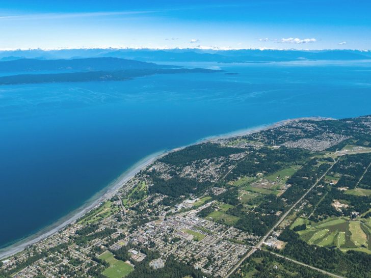 Panmure Island Beach: Expert Tips & Tricks!