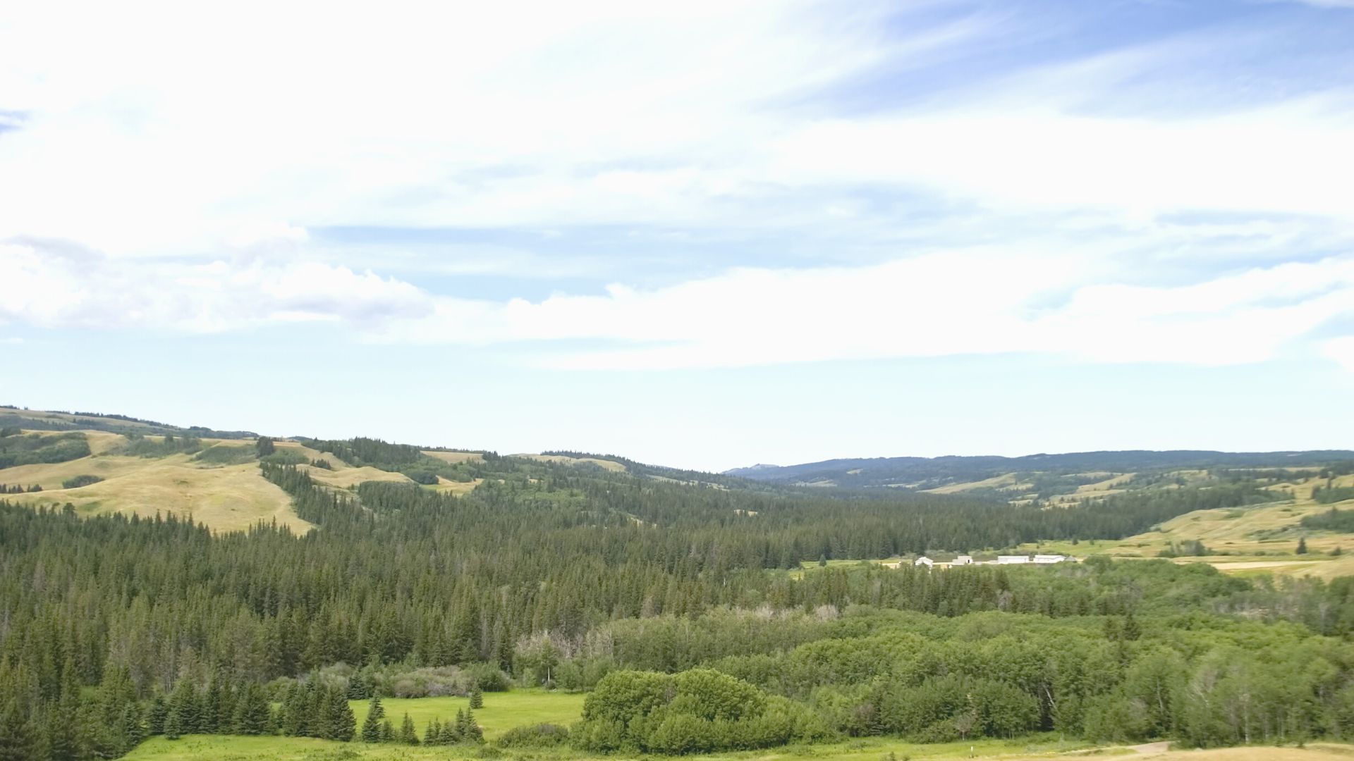 Bonshaw Hills Provincial Park: Discover A Nature Lover's Paradise