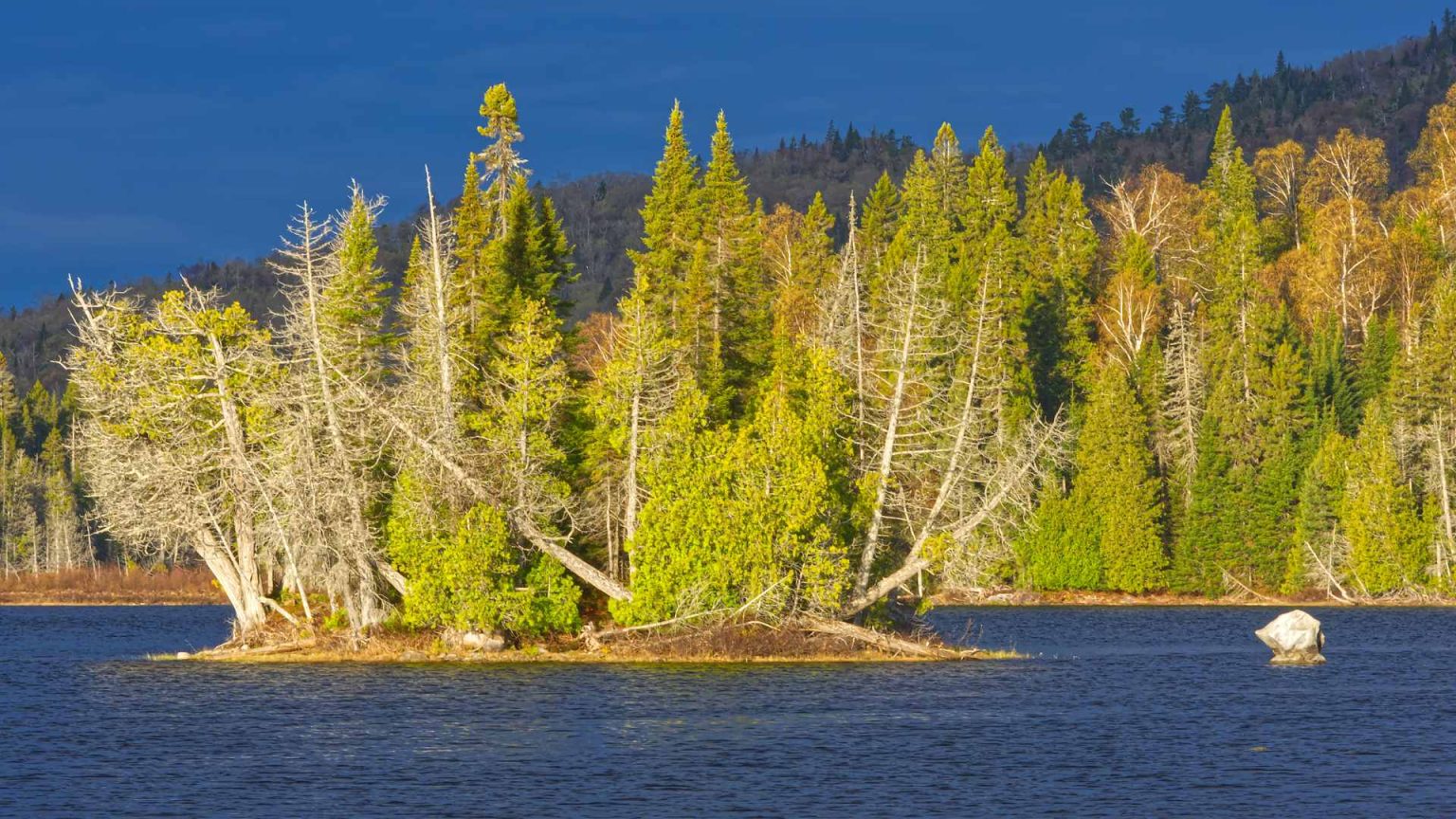 Graves Island Provincial Park: Expert Tips & Tricks!