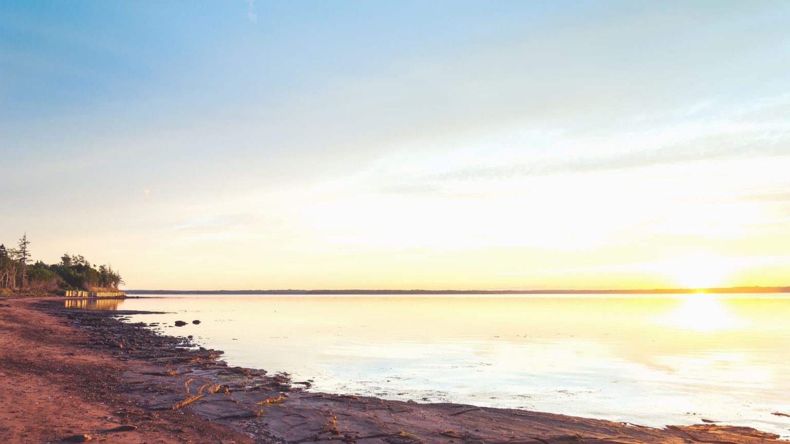 Panmure Island Beach: Expert Tips & Tricks!