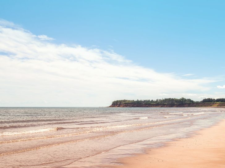 Panmure Island Beach: Expert Tips & Tricks!