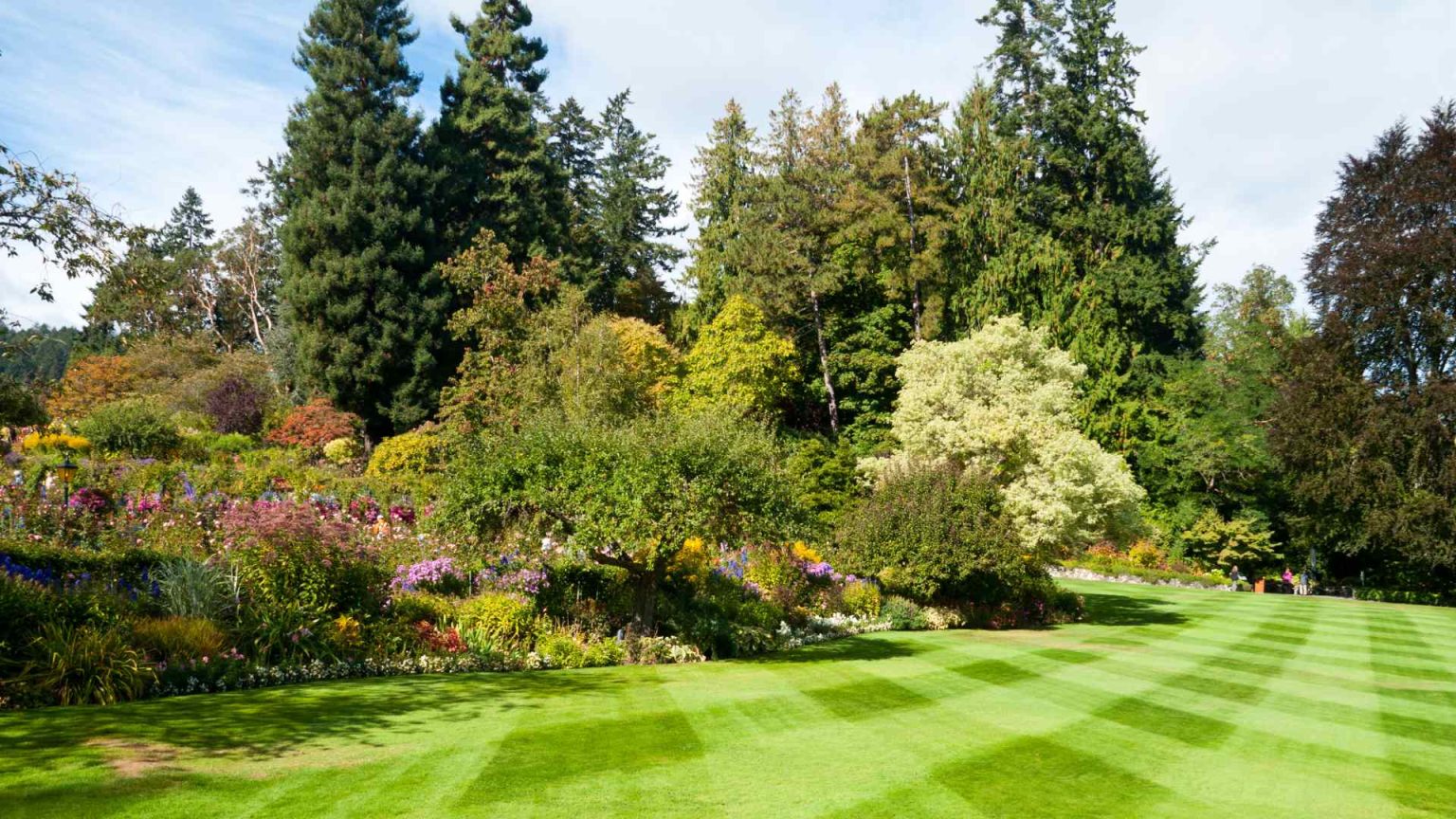 Victoria British Columbia Cruise Port: Complete Guide!