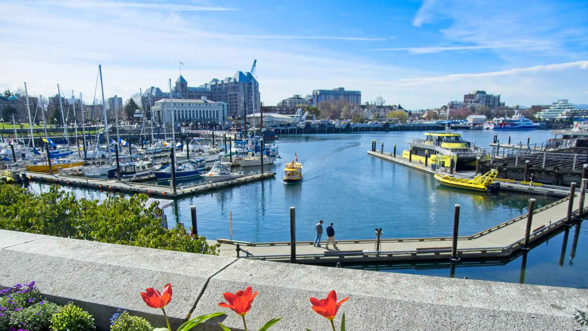 Victoria British Columbia Cruise Port: Complete Guide!