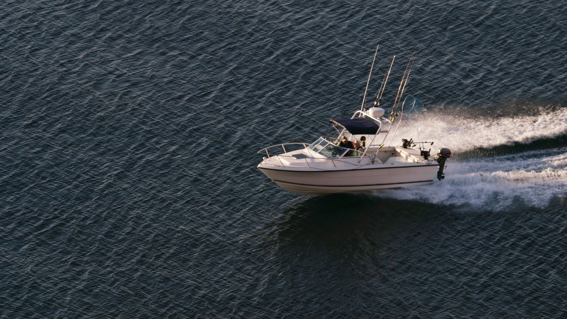 Lake Superior Fishing Charters: Plan Your Fishing Trip Today!