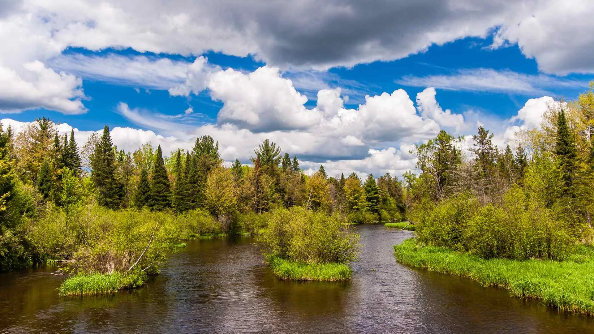 Discover Northern Wisconsin: A Local's Perspective + Insider Tips!