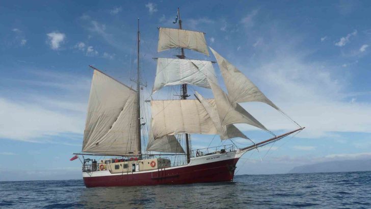 Why Are Ships Called 'She'? Let's Dive In!